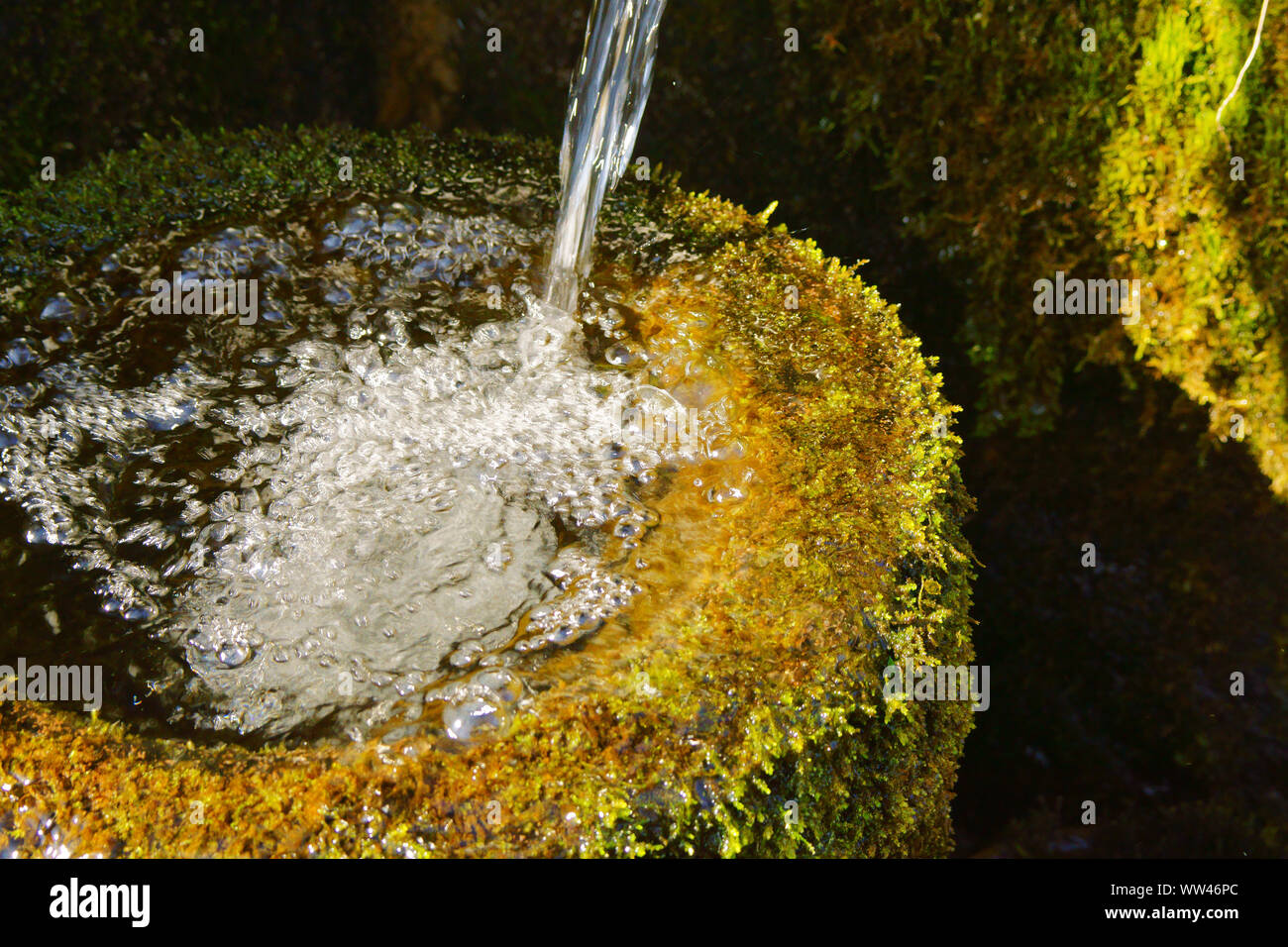 Japanese garden moss fountain hi-res stock photography and images - Alamy