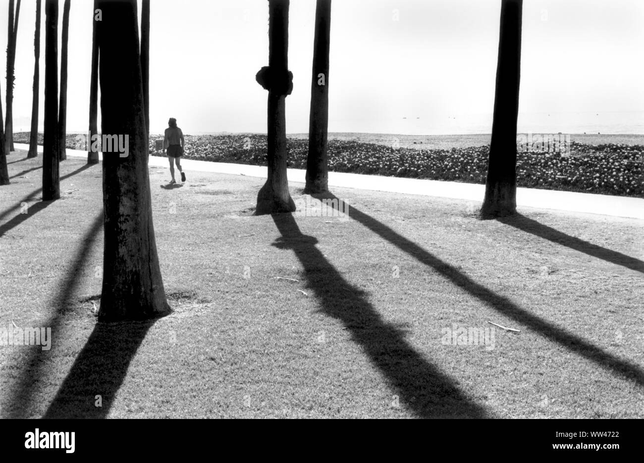 Santa Barbara California 2000s. Man exercising, running jogging in ...