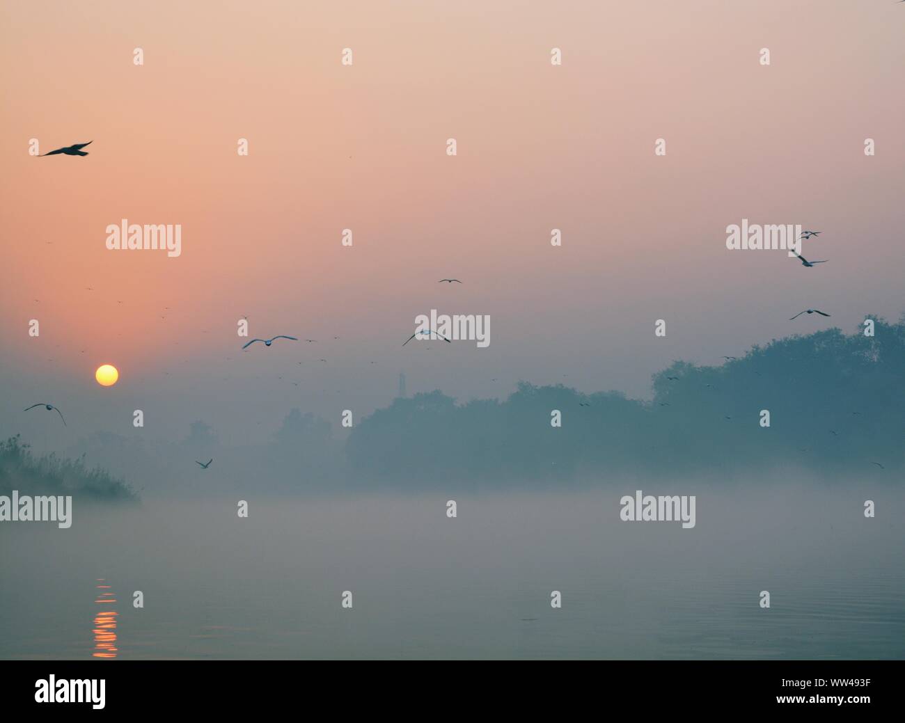 Superfly hi-res stock photography and images - Alamy