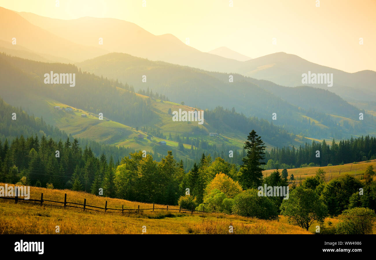 Mountains landscape with mountains range and trees, Carpathians ...