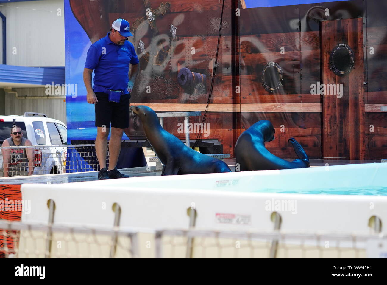 Sea Lion Splash Show at Fond du Lac Wisconsin County Fair 2019 Stock ...