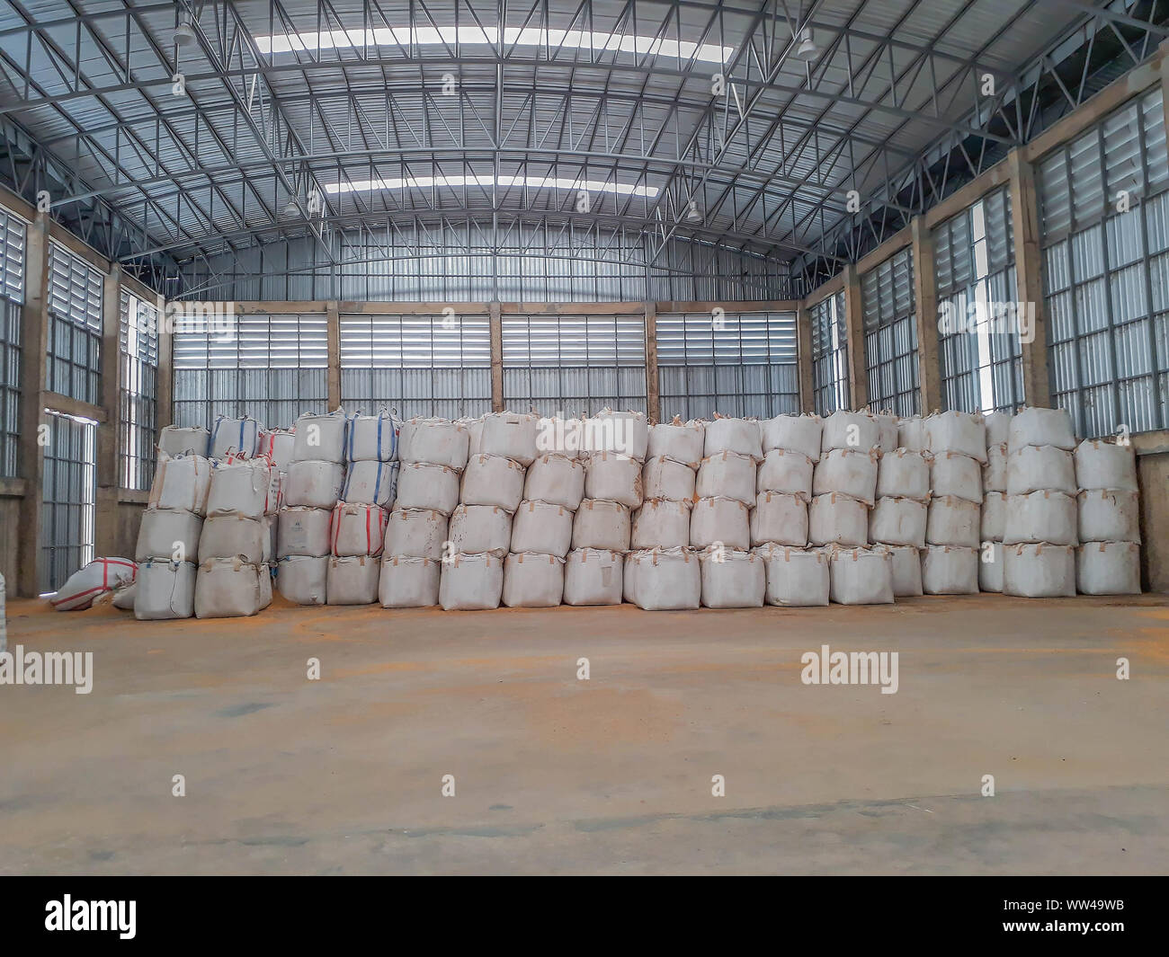 Paddy rice seed from the sack, method a pile of paddy rice seeds, rice ...