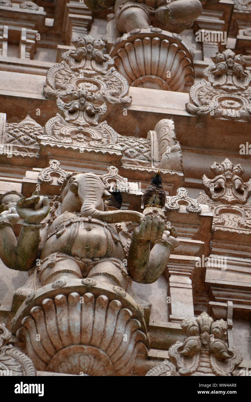 Indian temple and birds hi-res stock photography and images - Alamy