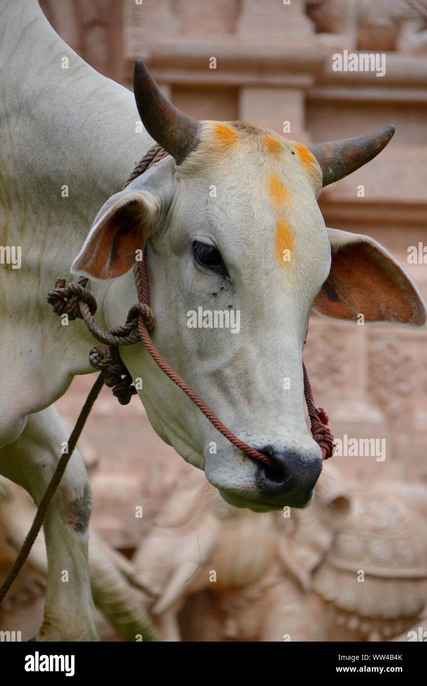 Asian culture entrance hindu hinduism hi-res stock photography and images - Alamy
