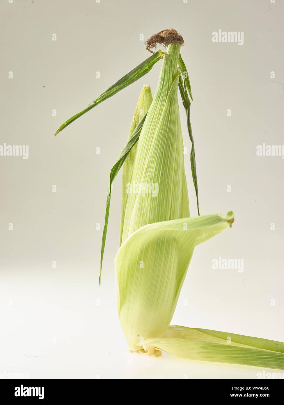 Maize (sweetcorn) food abstract Stock Photo - Alamy