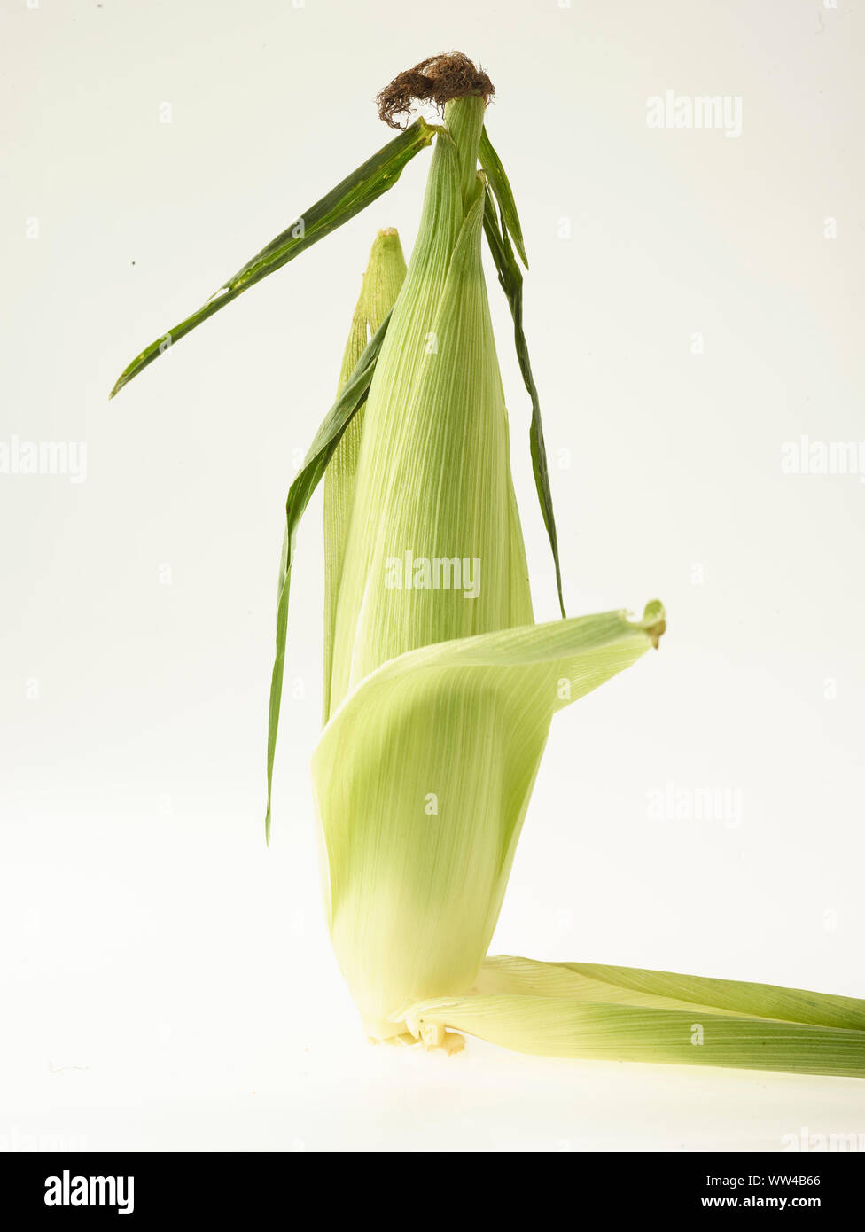 Maize (sweetcorn) food abstract Stock Photo - Alamy