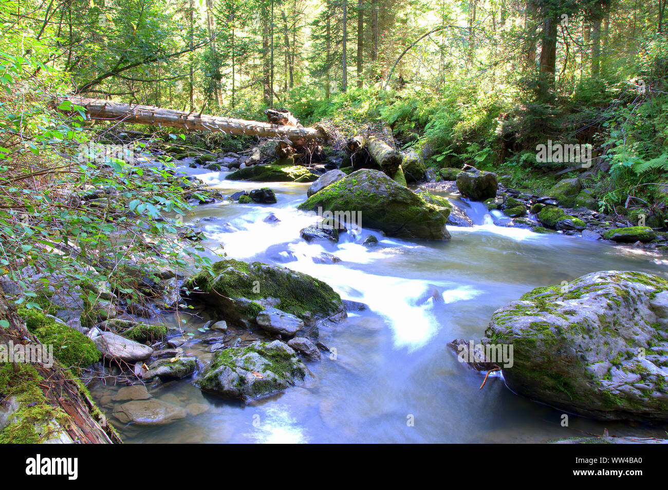 Crayon is a mountain river, cascading waterfalls flowing through the ...