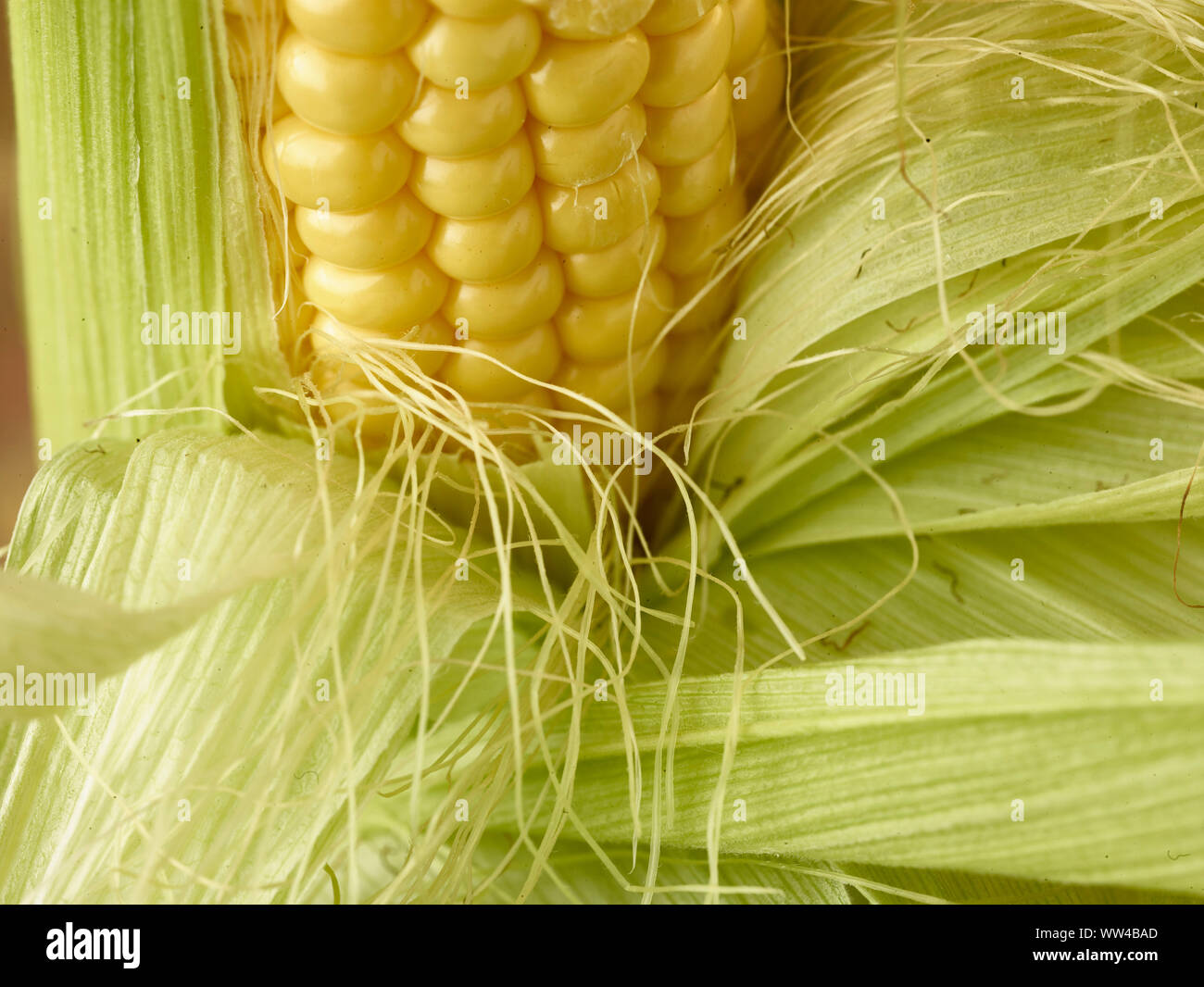 Maize (sweetcorn) food abstract Stock Photo - Alamy