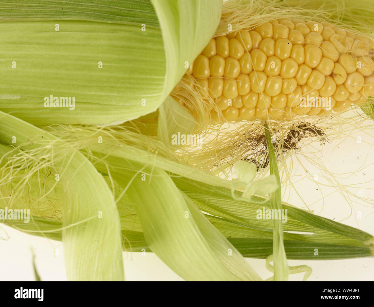 Maize (sweetcorn) food abstract Stock Photo - Alamy