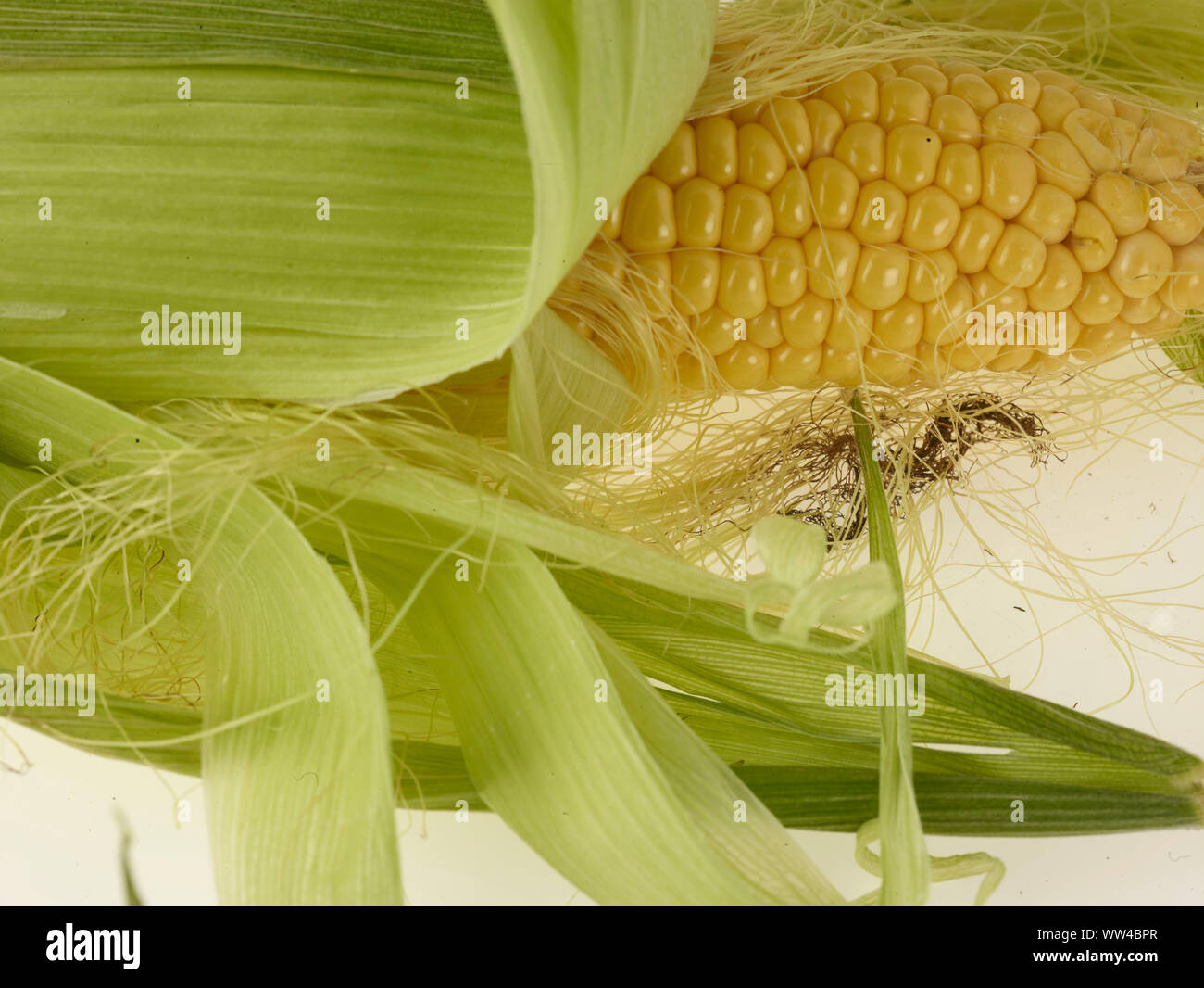 Grinding maize for masa hi-res stock photography and images - Alamy