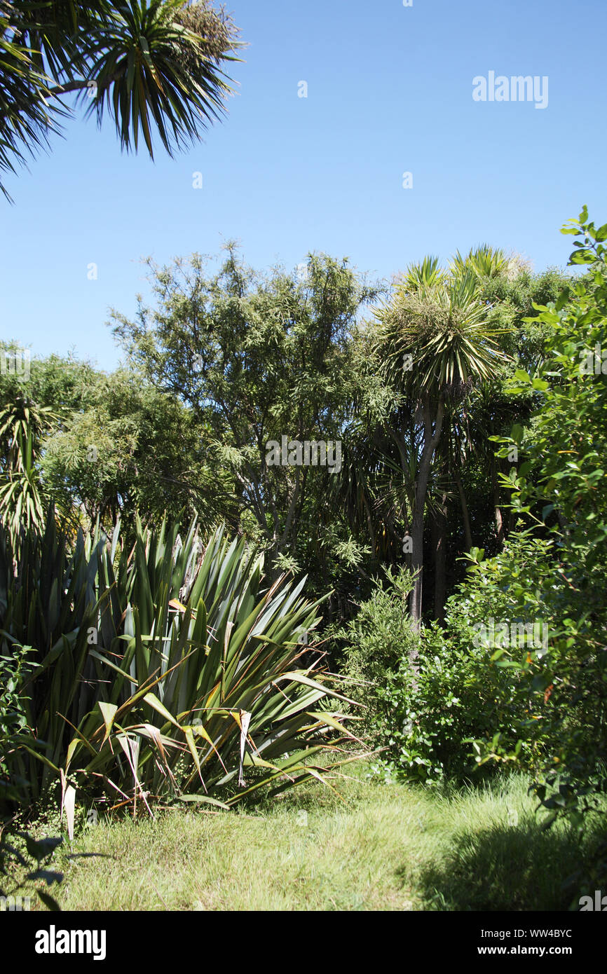Wattle Track Tiritiri Matangi Island Scientific Reserve North Island ...