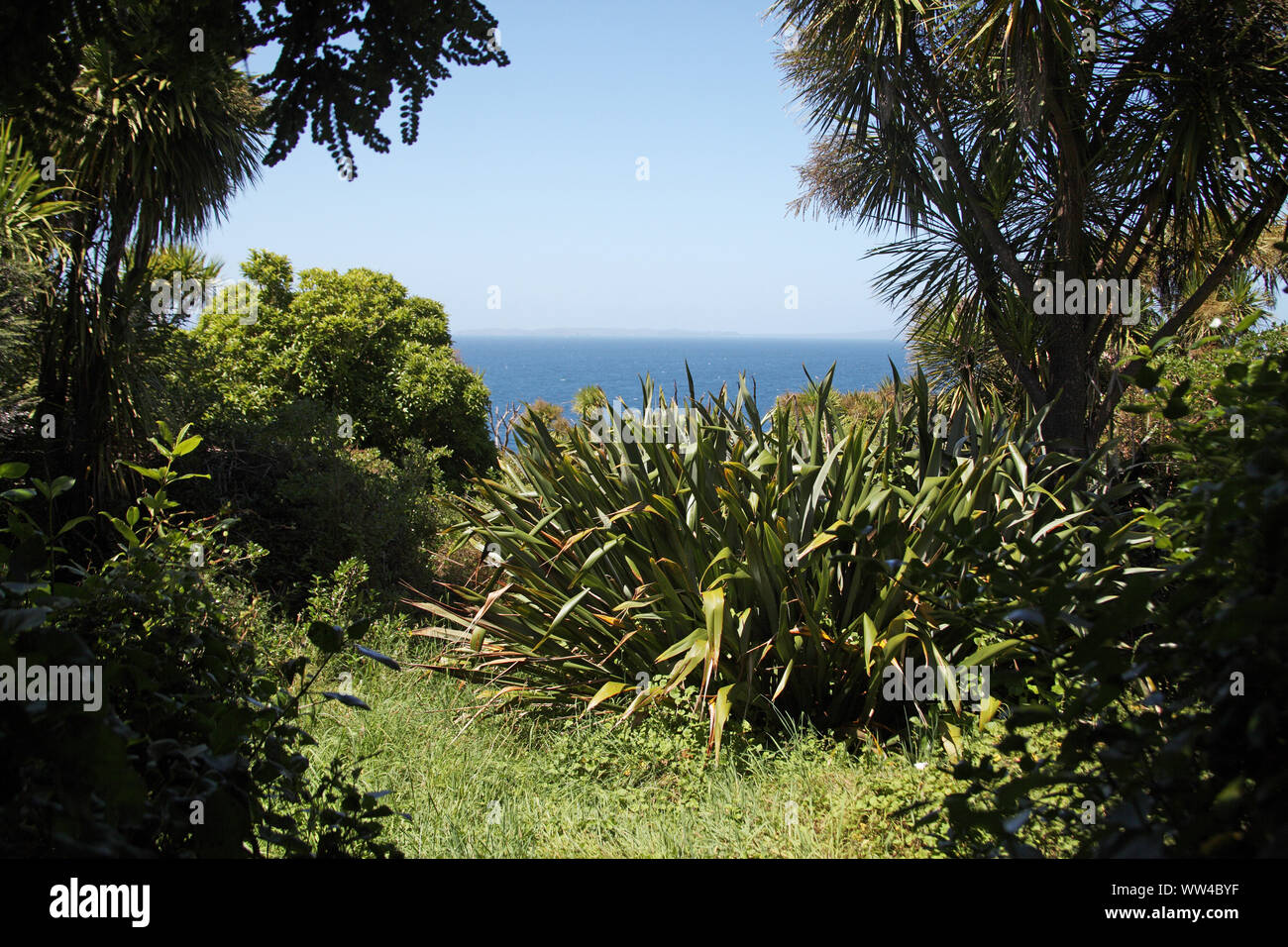 Wattle Track Tiritiri Matangi Island Scientific Reserve North Island ...