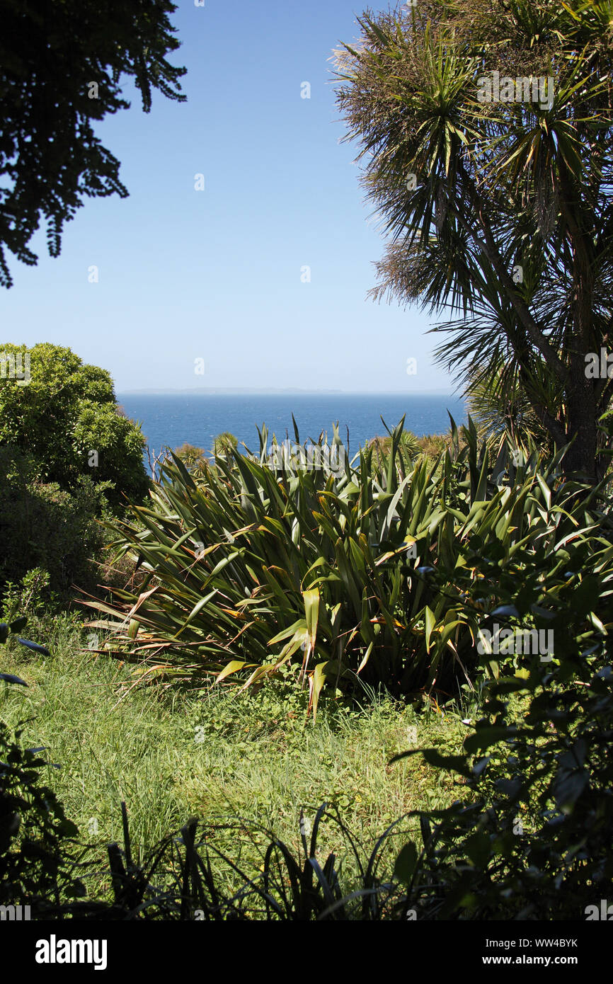 Wattle Track Tiritiri Matangi Island Scientific Reserve North Island ...