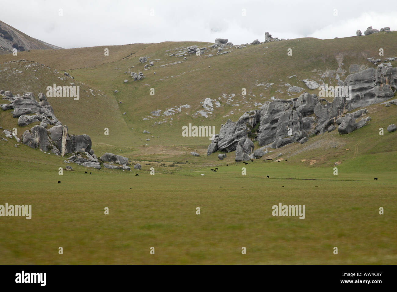 Limestone outcrop Castle Hill South Island New Zealand Stock Photo - Alamy