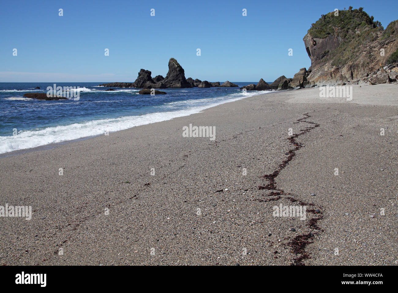 Munro Beach South Island New Zealand Stock Photo - Alamy