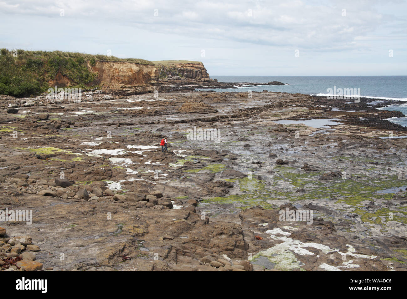 Curio bay cliffs hi-res stock photography and images - Alamy