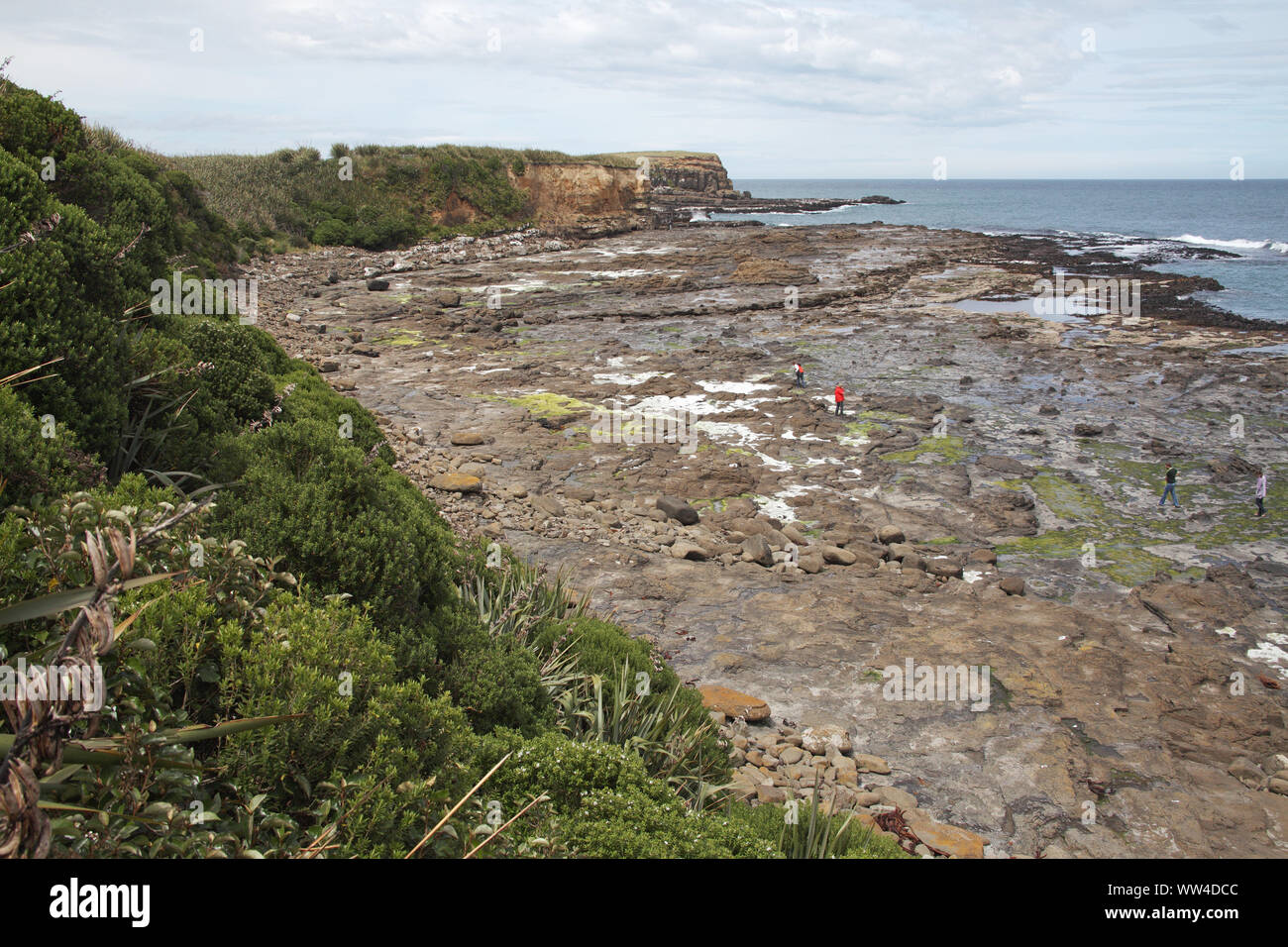 Curio Bay New Zealand Stock Photo - Alamy
