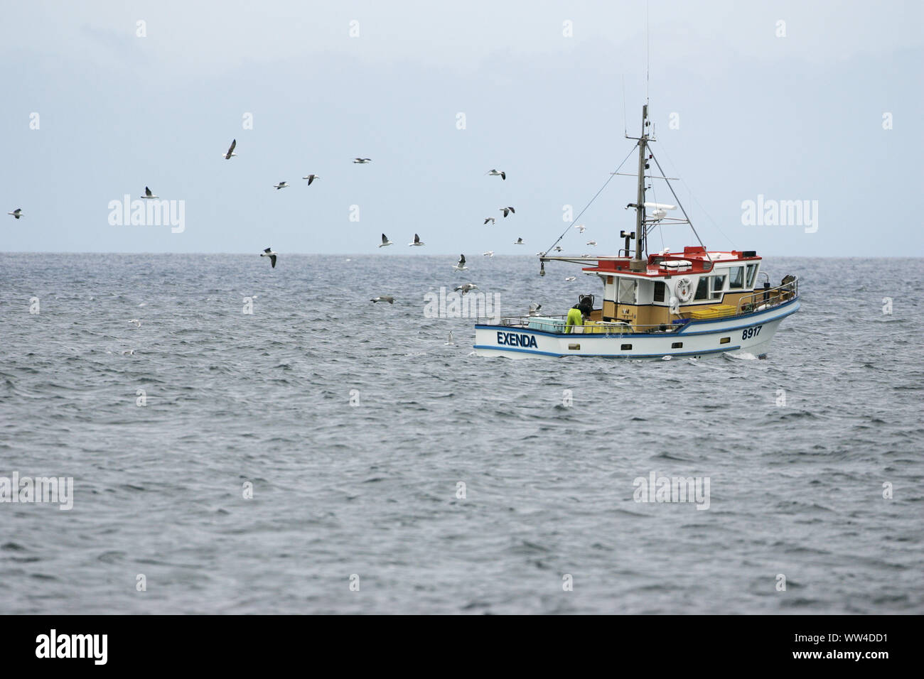 Stewart island south island new zealand hi-res stock photography and ...