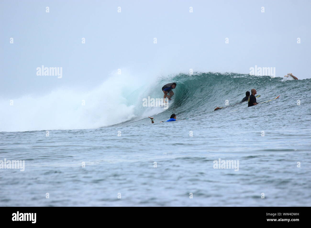 Free surf at Kuta reef Bali Stock Photo - Alamy