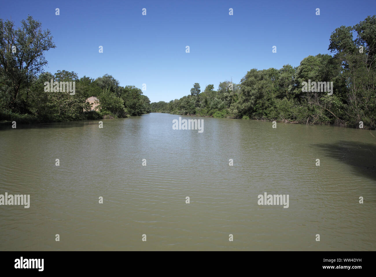 Punte Alberete Reserve Po Delta Italy Stock Photo - Alamy