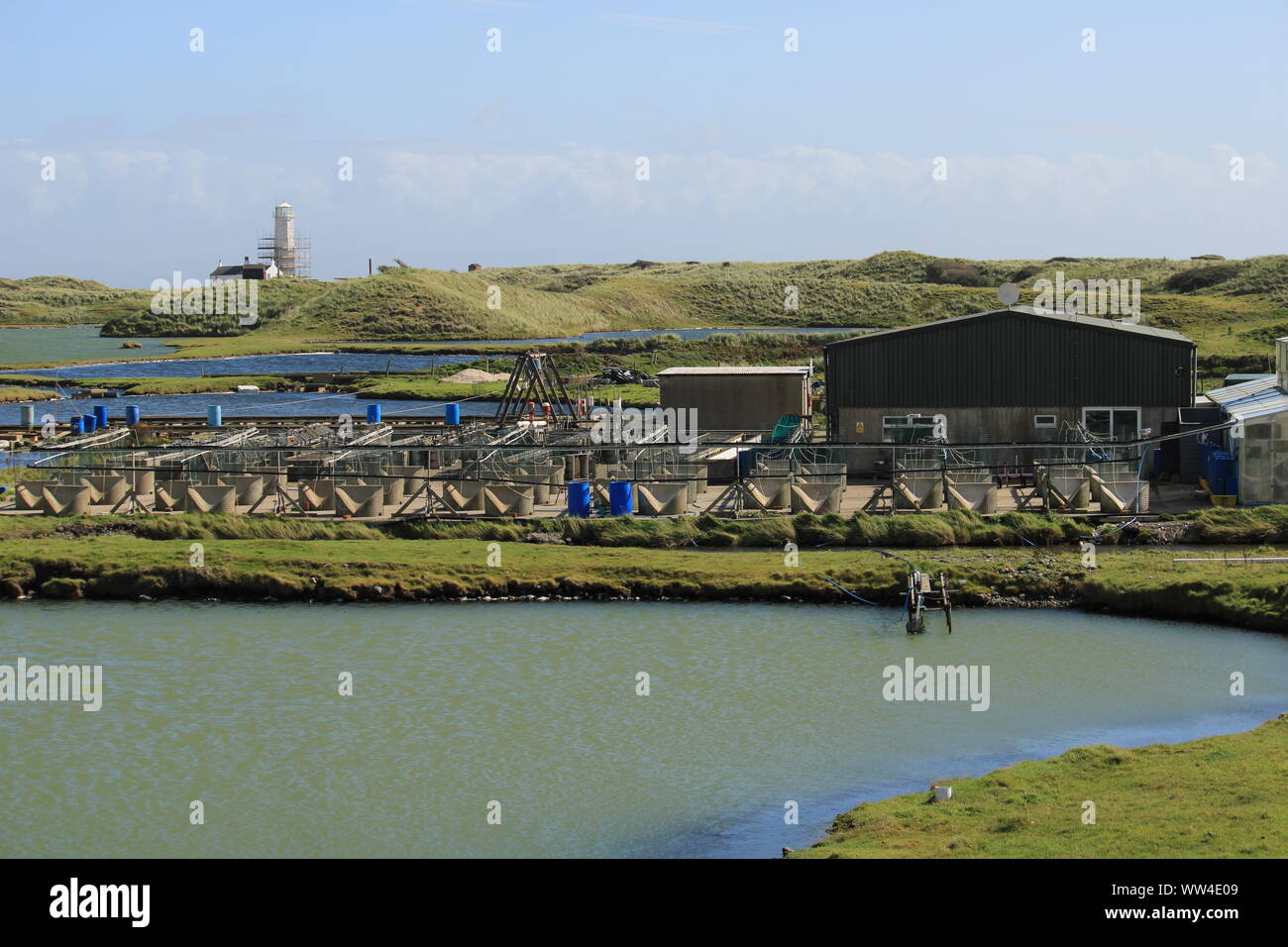 Oyster lighthouse hi-res stock photography and images - Alamy