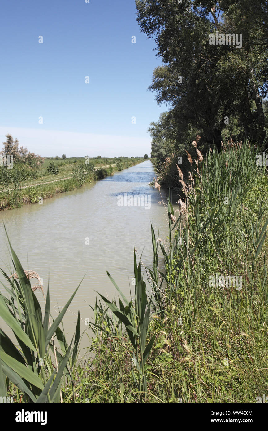Water channel in the Punte Alberete Reserve Po Delta Italy Stock Photo ...