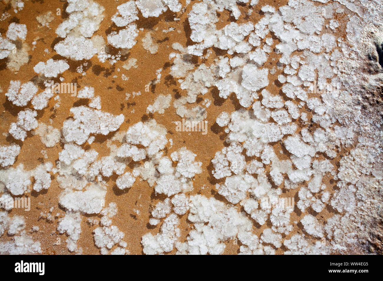 Salt crystals formed on drying out puddle beside the Stagno di Cagliari ...