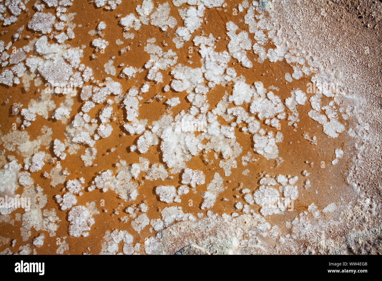 Drying up puddle hi-res stock photography and images - Alamy