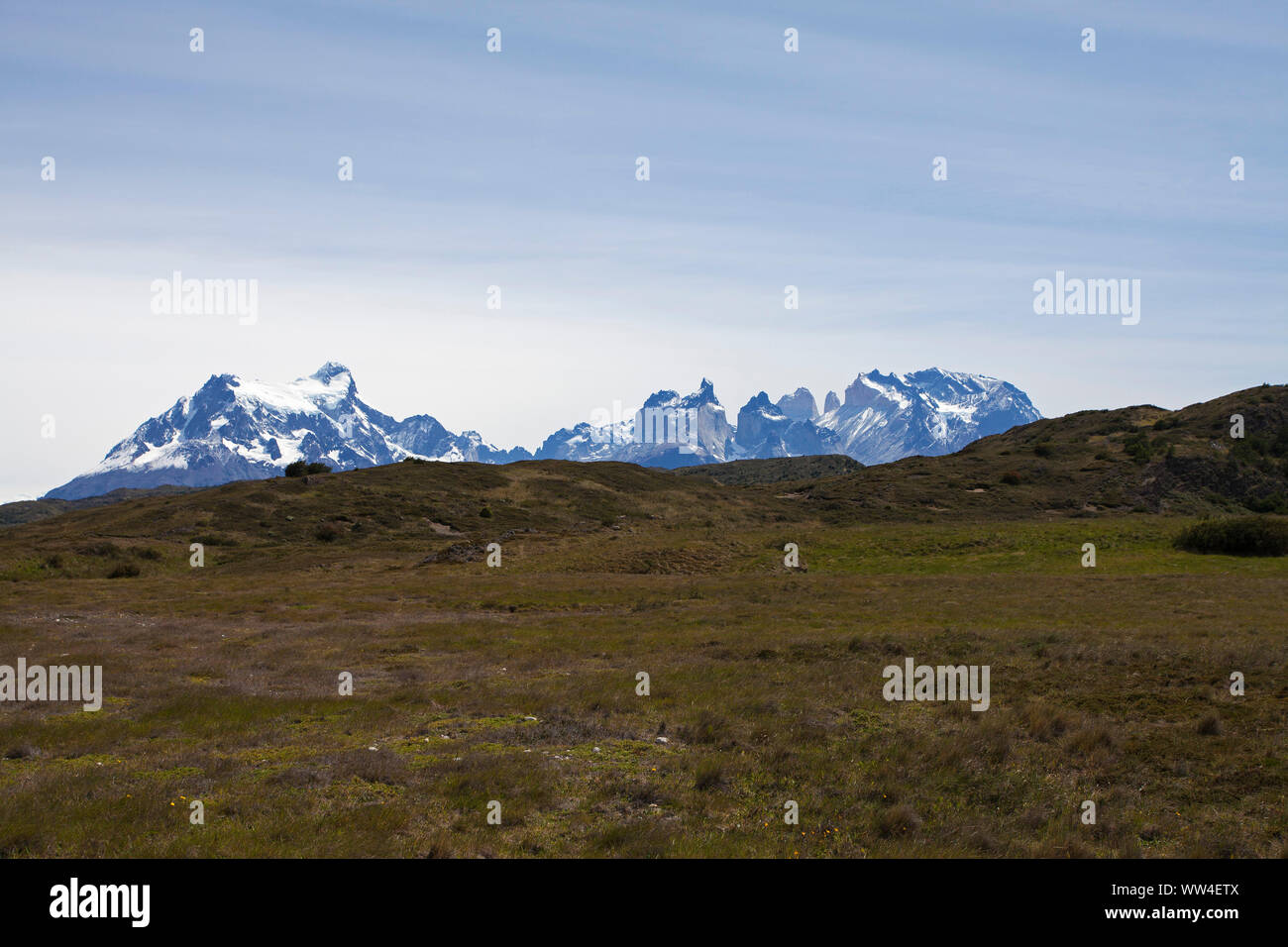 Steppe grassland with The Blue Massif beyond Torres del Paine National ...