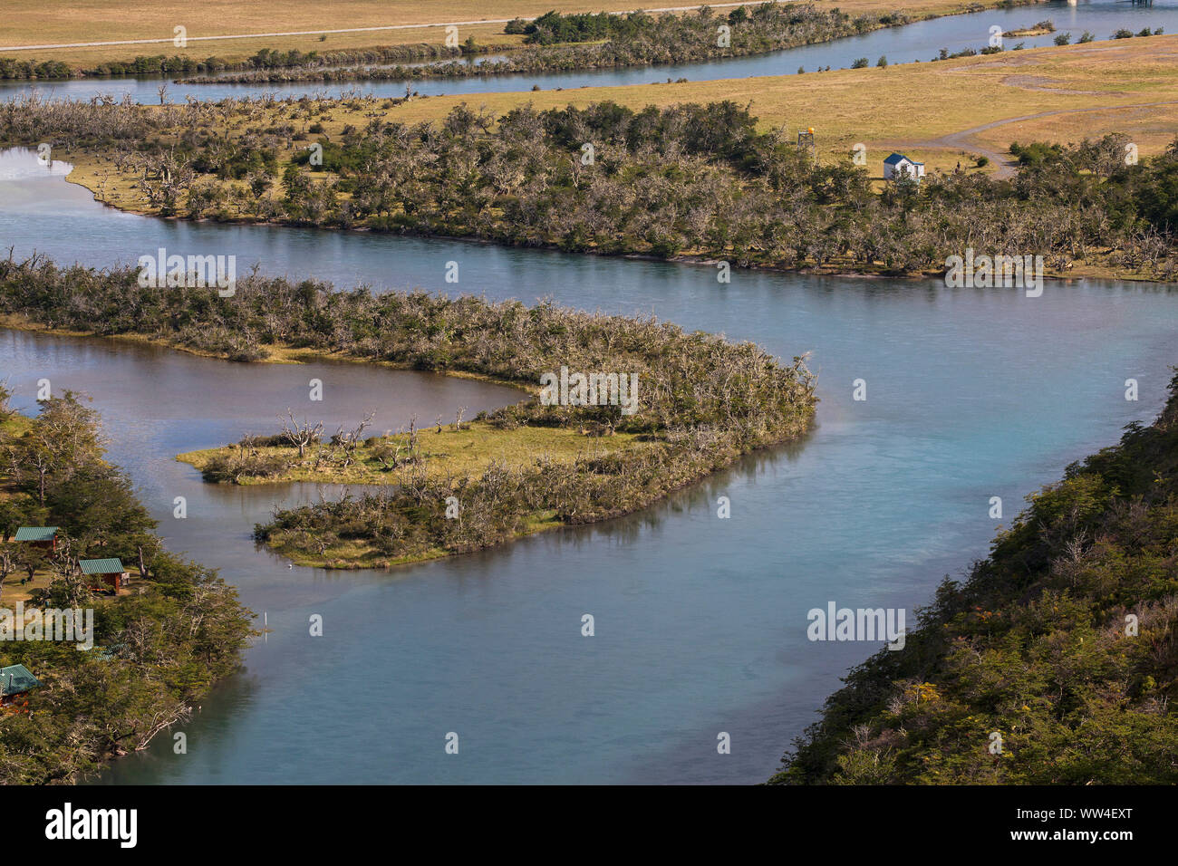 Fire damaged trees on an island beside the Rio Serrano Torres del Paine ...