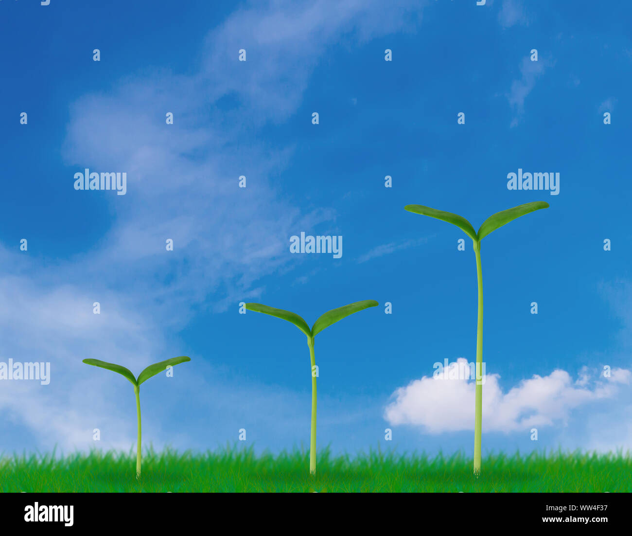 Business growth concept, young plant on blue sky background, financial ...