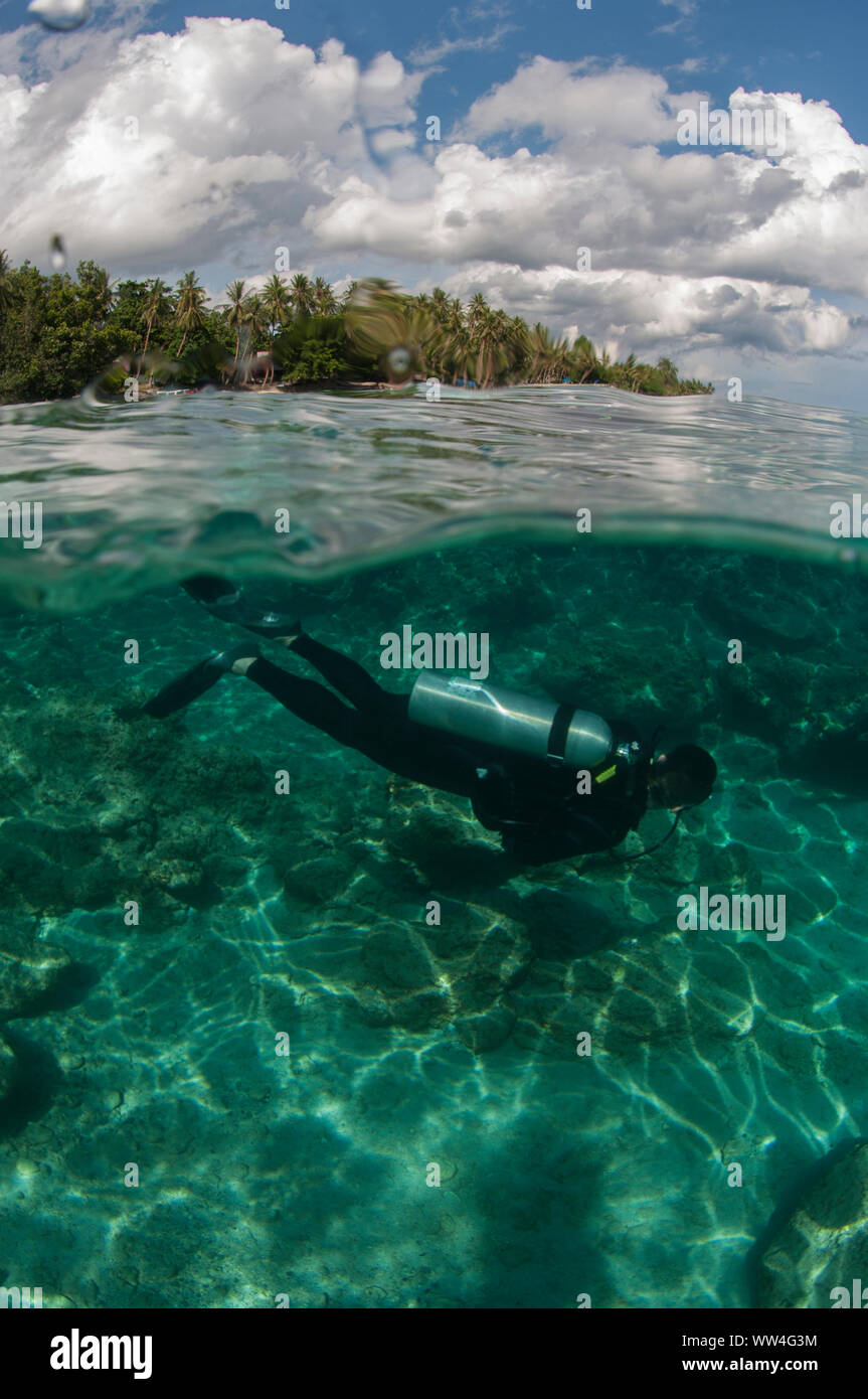 Diver under water with island in background, Ambon, Maluku, Indonesia ...