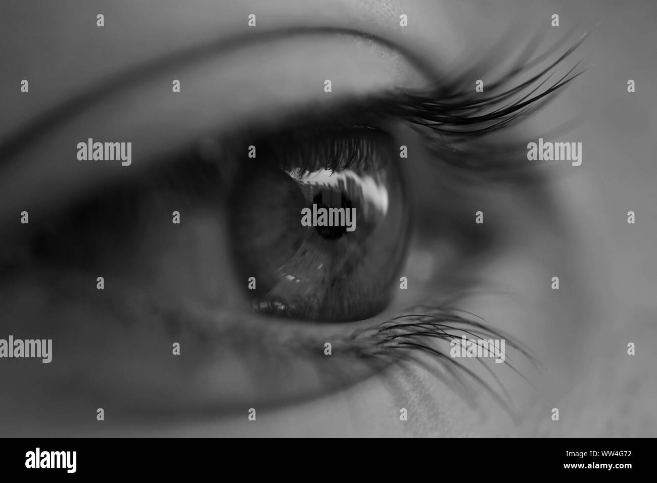Closeup and macro of human eye/ City view reflected in the eye/ Soul of ...