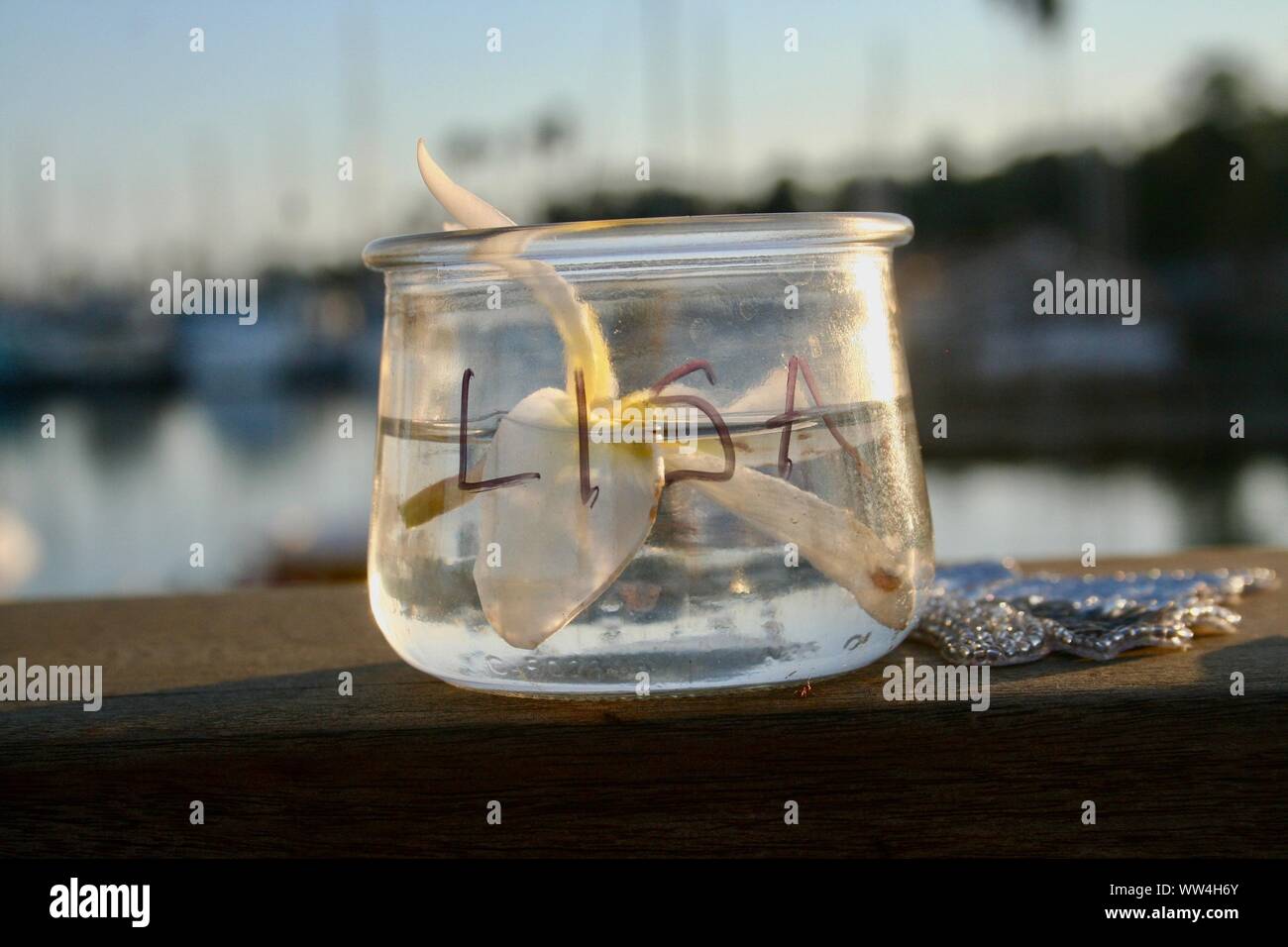 Santa Barbara, California, USA. 12th Sep, 2019. Memorial for Conception ...