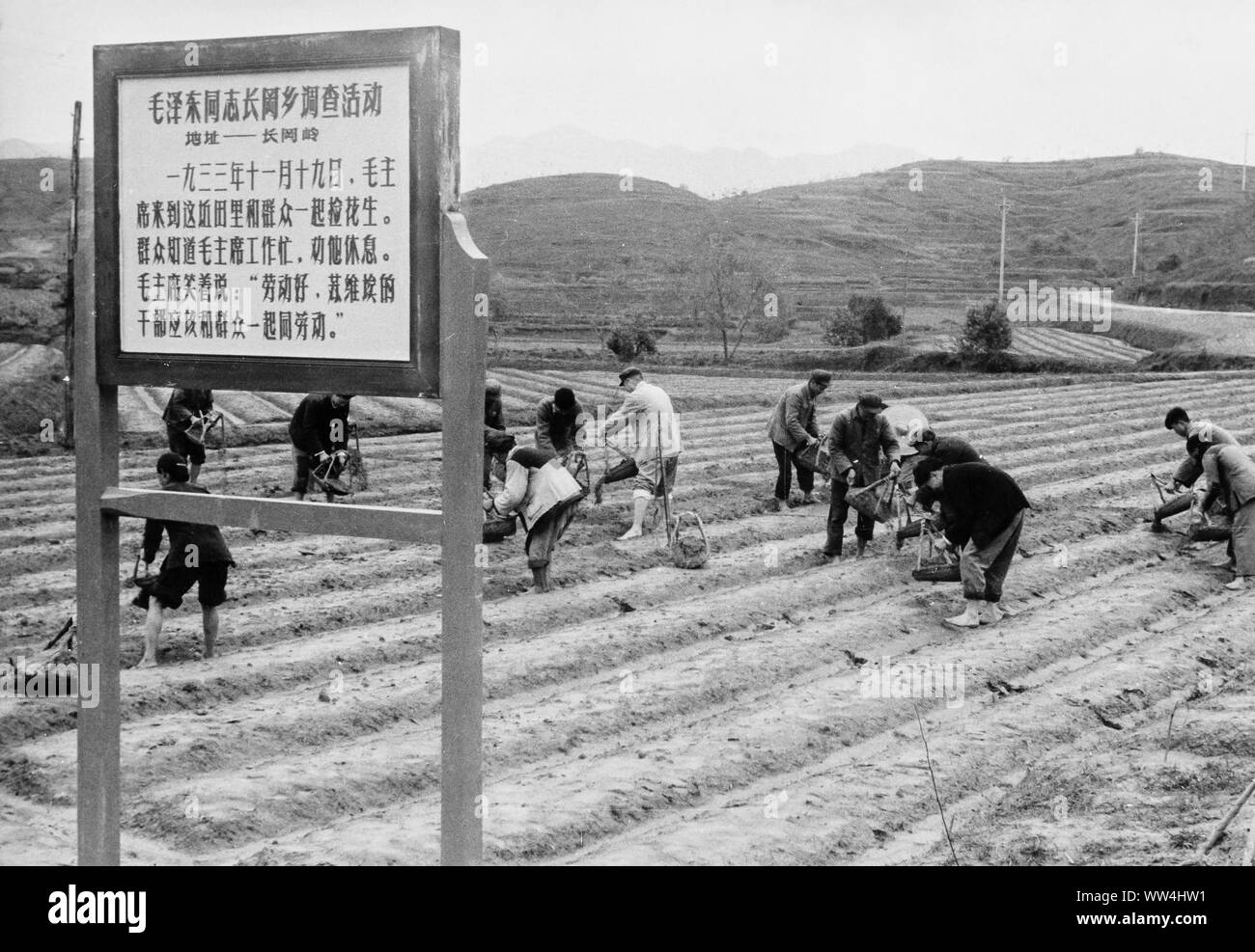 Field agriculture work job Black and White Stock Photos & Images - Alamy