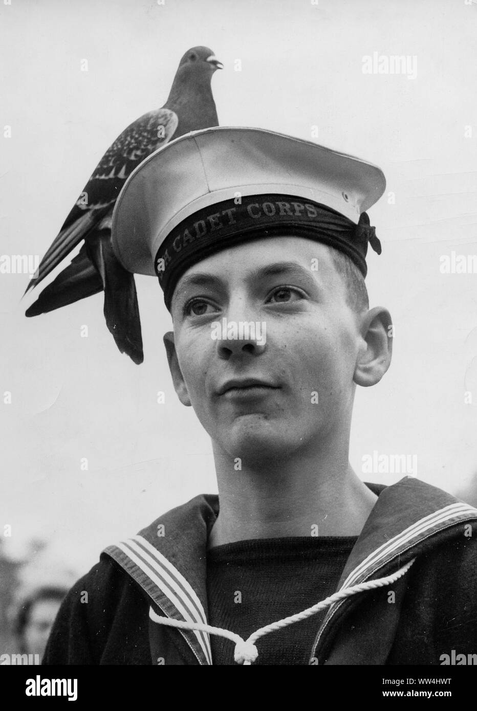 1960 army Black and White Stock Photos & Images - Alamy