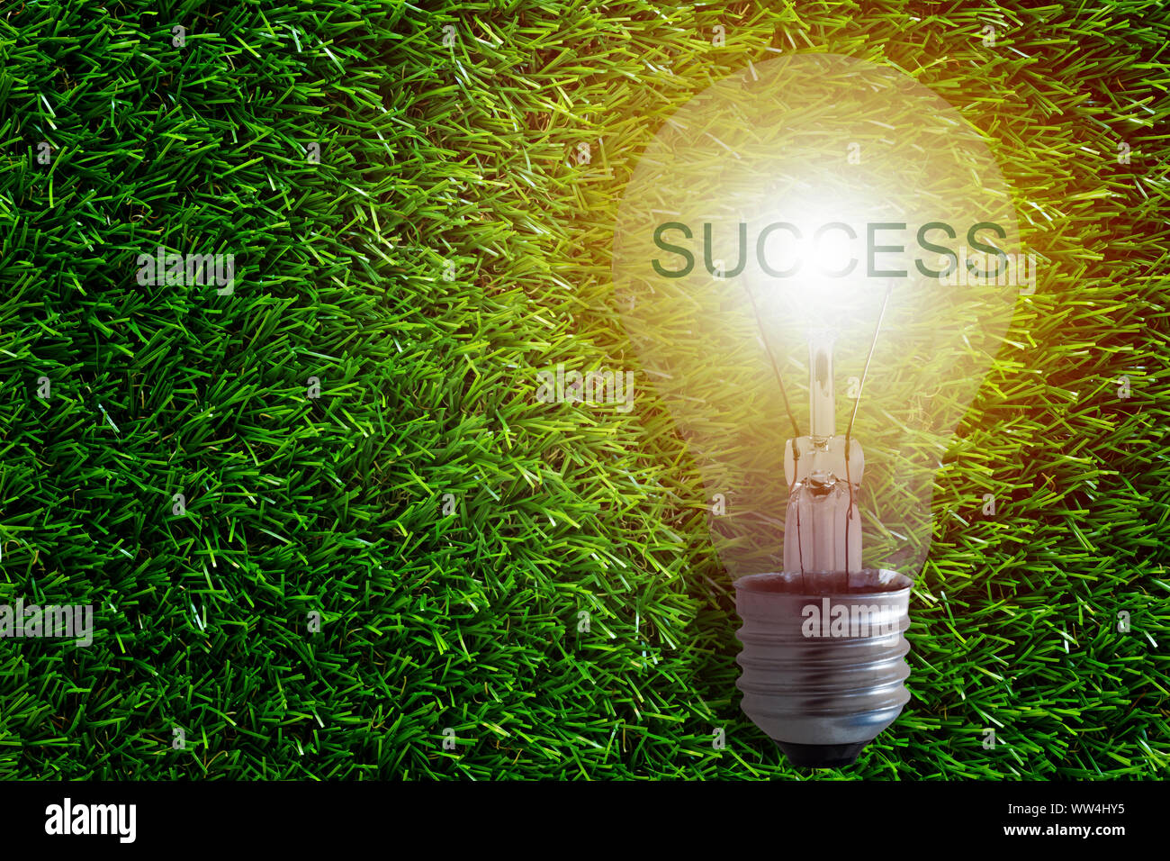 Business success concept, light bulb on green grass background Stock ...