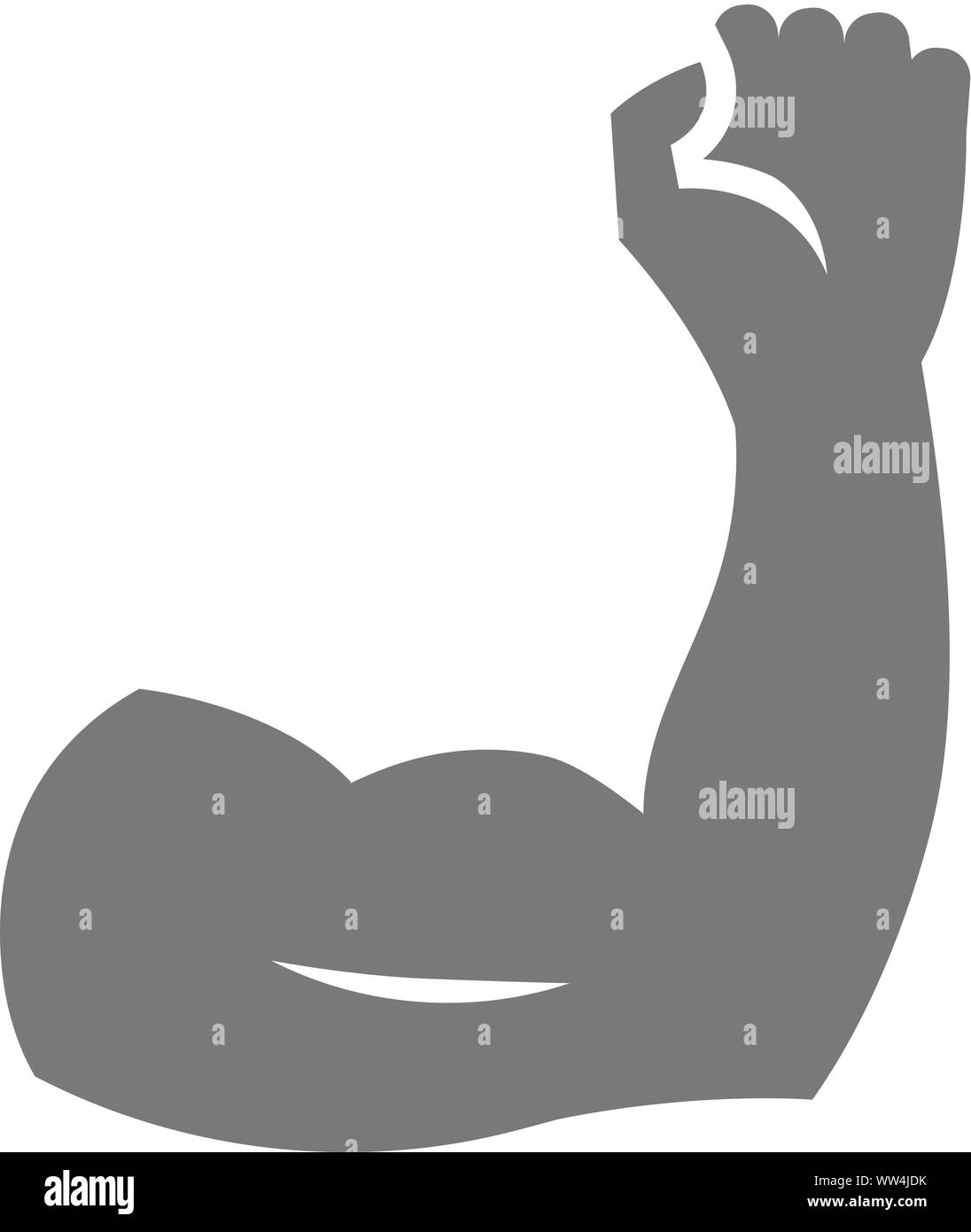 Illustration muscular in male anatomy Stock Vector Images - Alamy