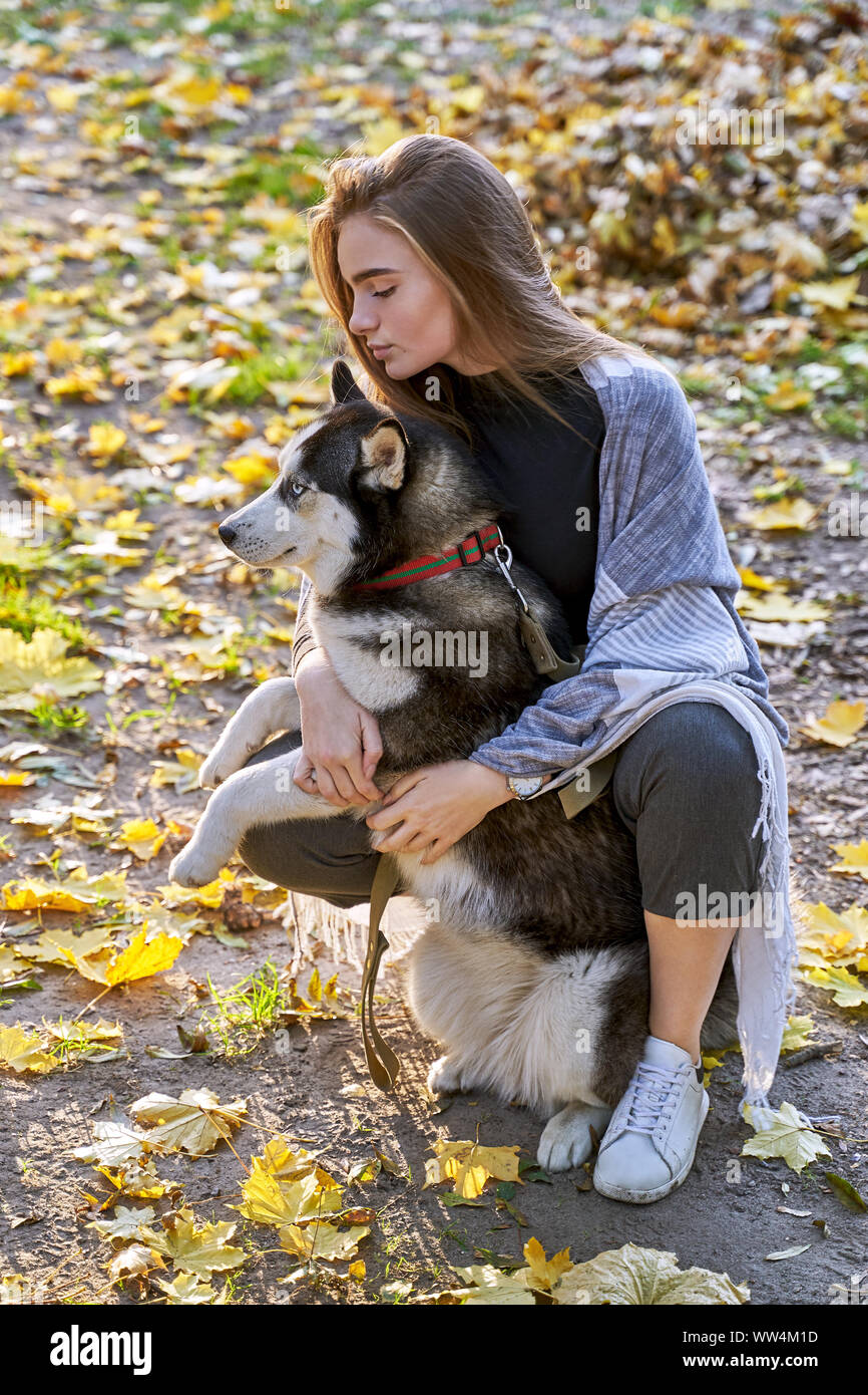 Young beautiful girl playing with her cute husky dog pet in evening ...