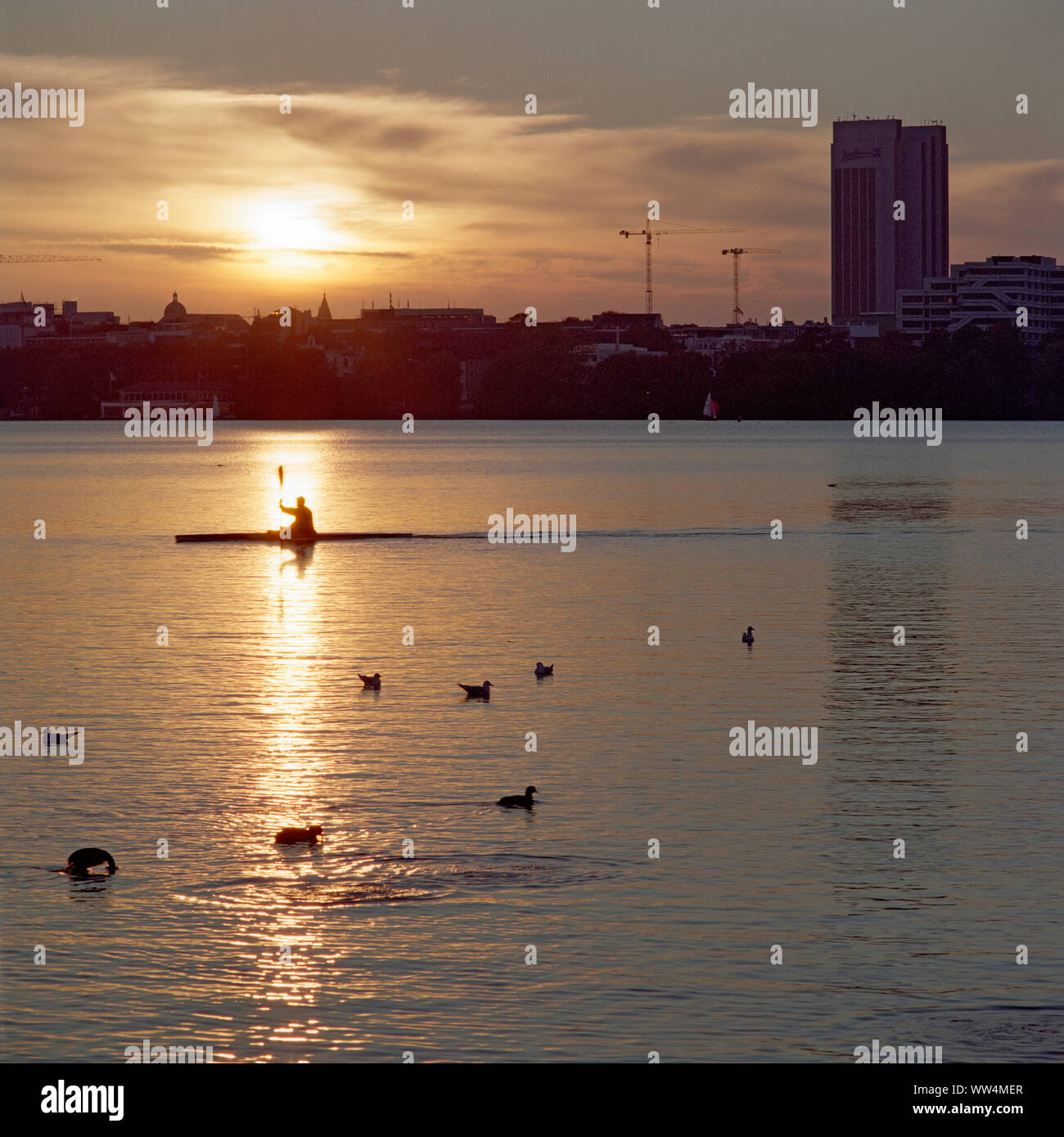 Outer alster in autumn hi-res stock photography and images - Alamy