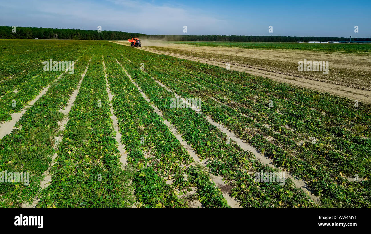 Tractor in a farmer field top view Stock Photo - Alamy