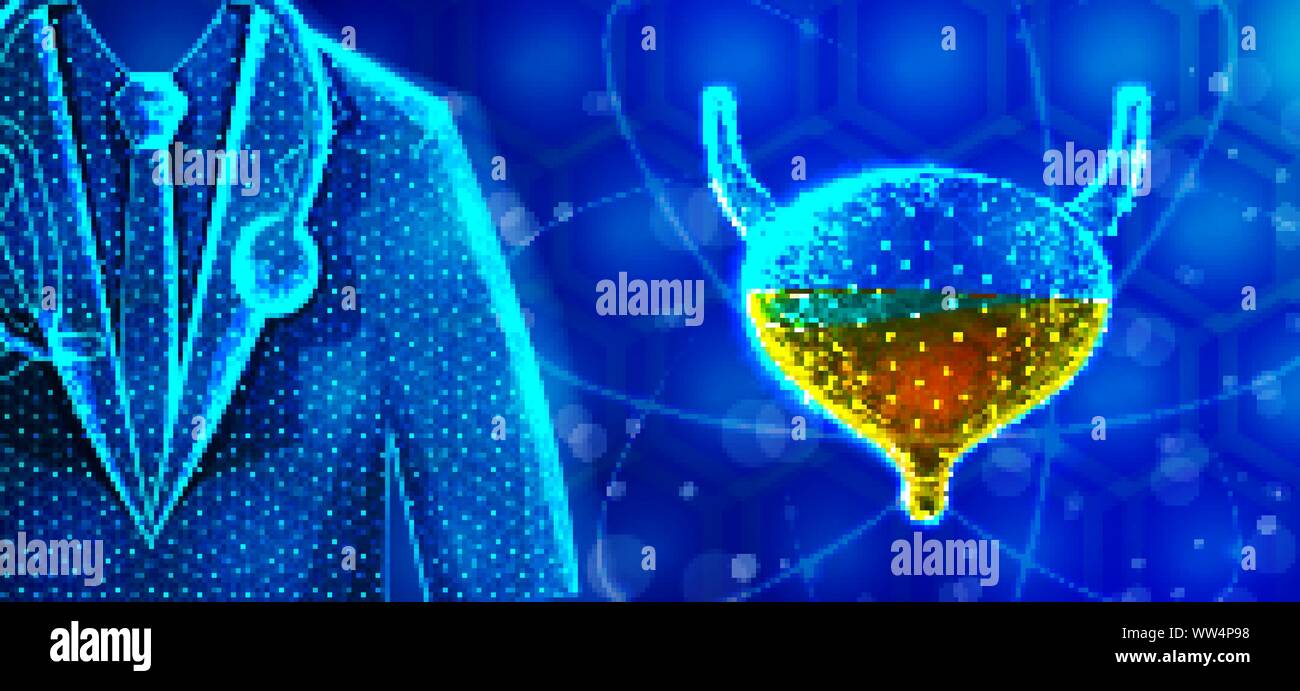 Human Bladder Doctor Specialist .Human Anatomy .Abstract Low Poly ...