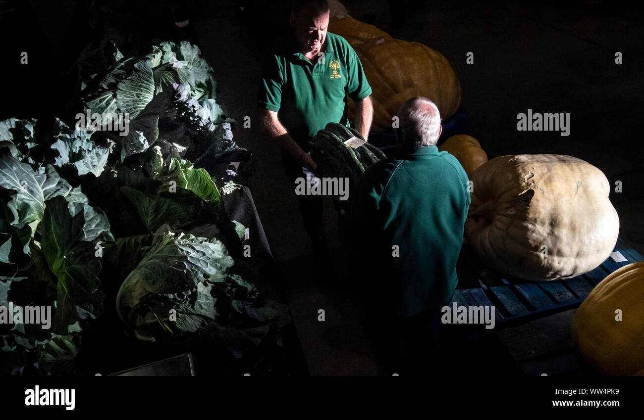 Vegetable competition marrow hi-res stock photography and images - Alamy