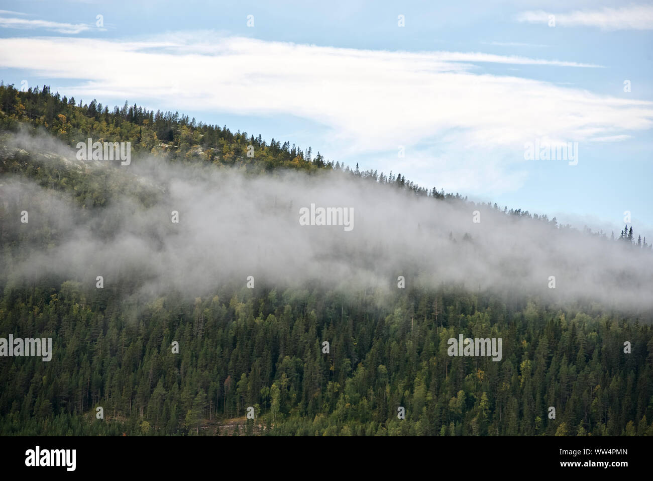 Autumn morning with haze Stock Photo - Alamy