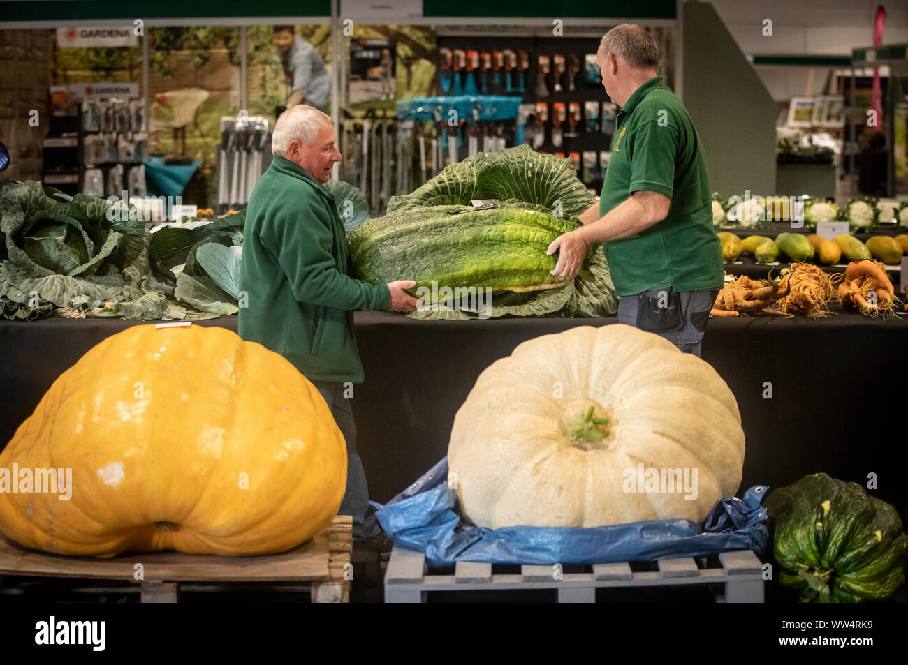 Two men carry a giant marrow as judging takes place during the Giant ...