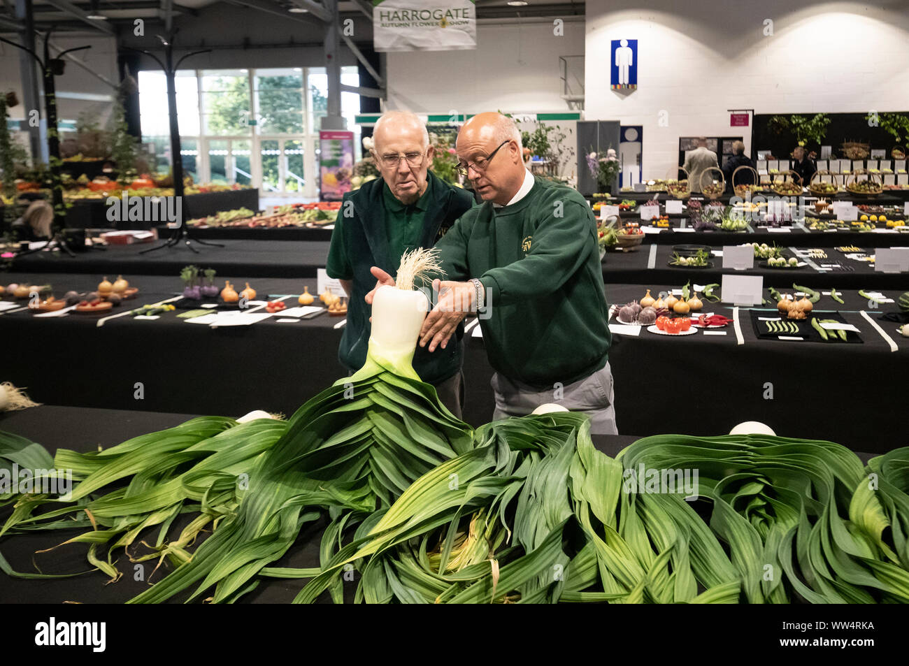 Judging takes place during the Giant Vegetable competition at the ...
