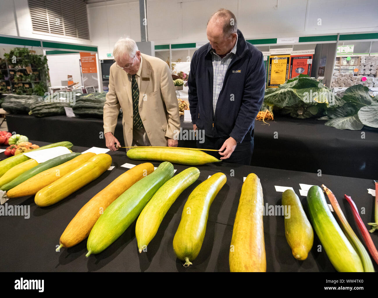 Judging takes place during the Giant Vegetable competition at the ...