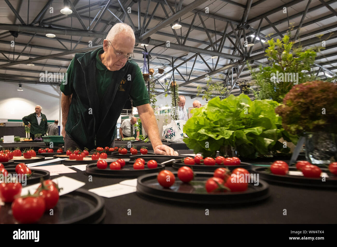 Judging takes place during the Giant Vegetable competition at the ...
