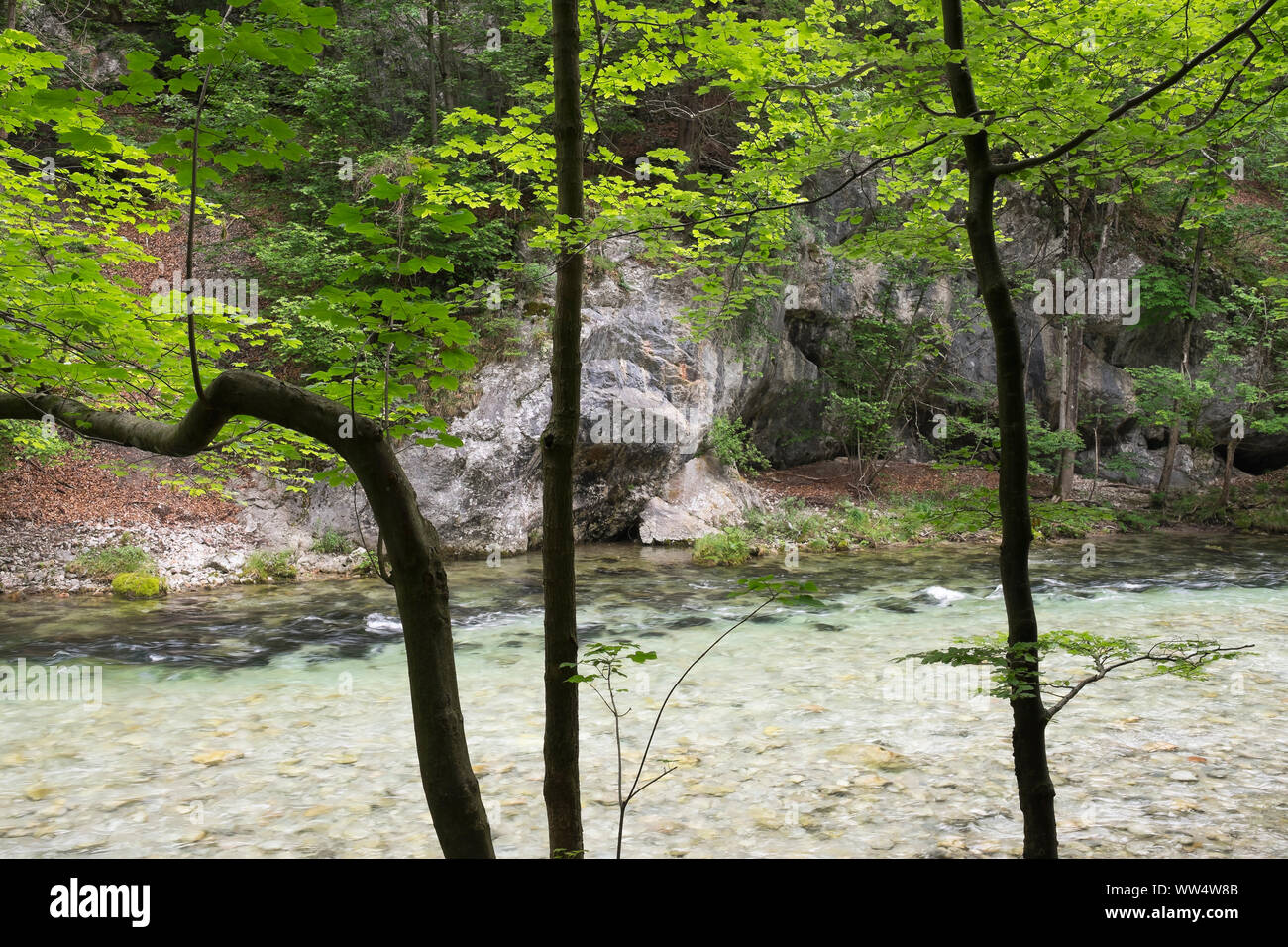 River schwarza in the ha llental hi-res stock photography and images ...