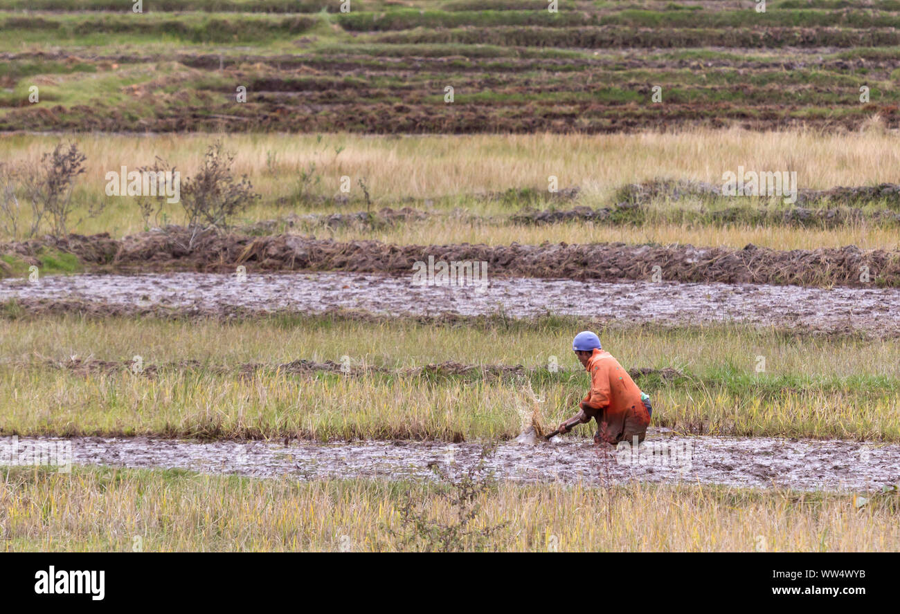 Single man working hi-res stock photography and images - Alamy